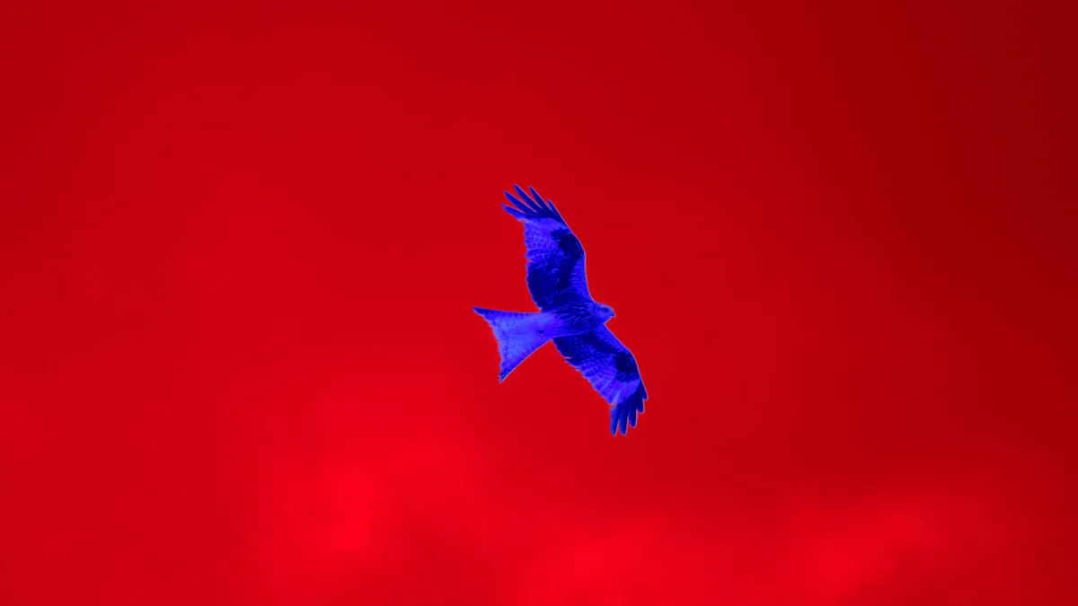 Why a Thermal Drone is a Hunter’s Best Friend？ – VERYTEK AI TECH LIMITED